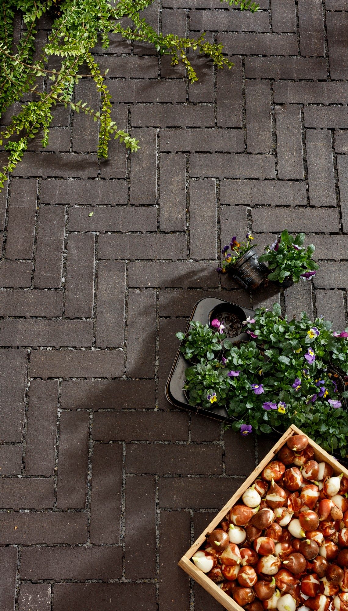 Penter Aquata liebt das Wasser: Wienerbergers Klinker für ...